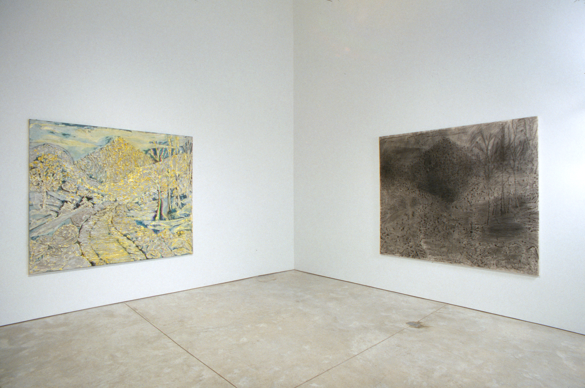 Thomas Erben Gallery | Dona Nelson – Art In America, Cheim & Read, New York