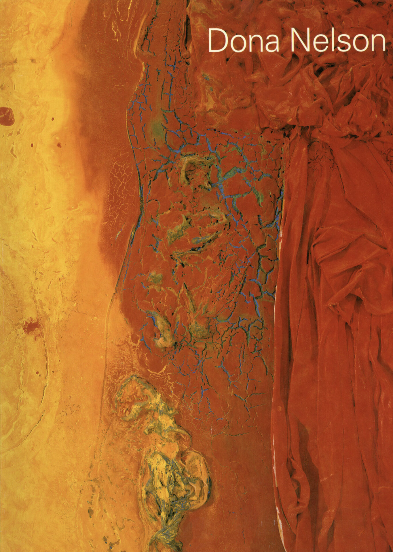 Thomas Erben Gallery | Dona Nelson