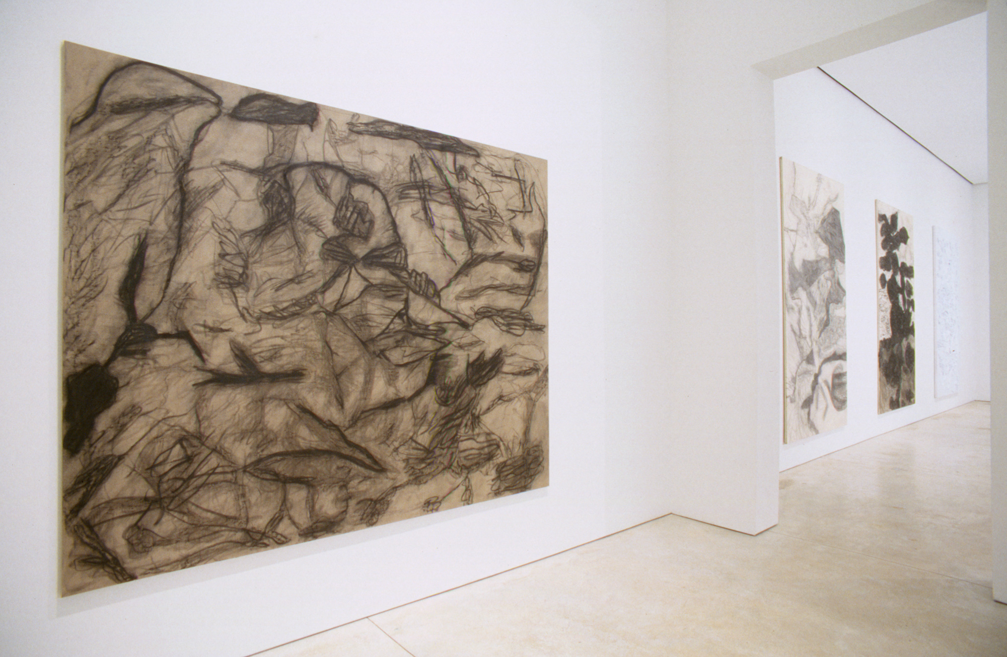 Thomas Erben Gallery | Dona Nelson – Art In America, Cheim & Read, New York